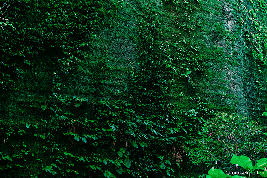 160806_078 – 現代表現研究所